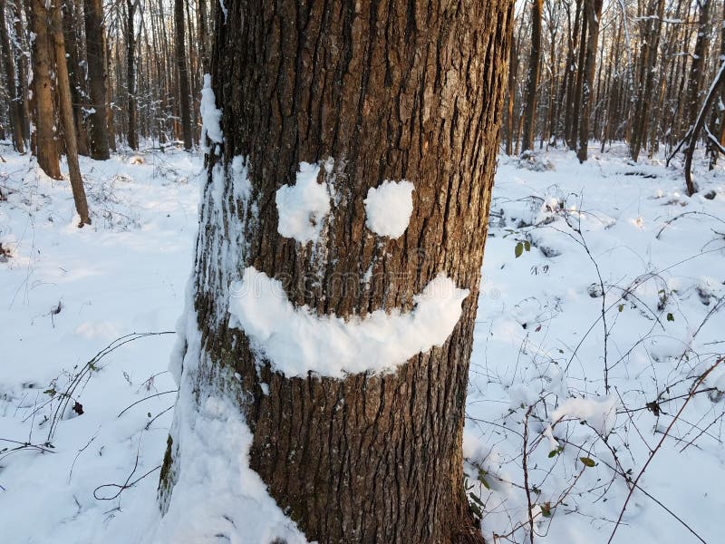 Smiley Face in Snow on Tree in the Forest with Trees in the Winter ...