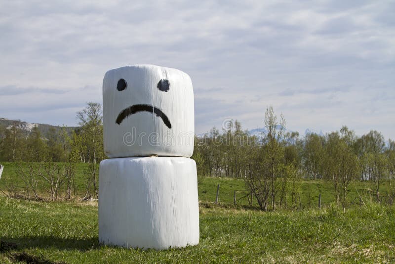 Smiley on hay bales stock image. Image of smiley, scandinavia - 42890217
