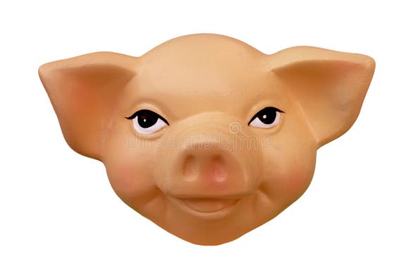 Smiley Pig Face - Isolated on White Stock Image - Image of happy ...