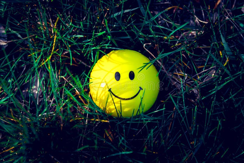Smiley Standing in the Grass Editorial Image - Image of colorful, face ...