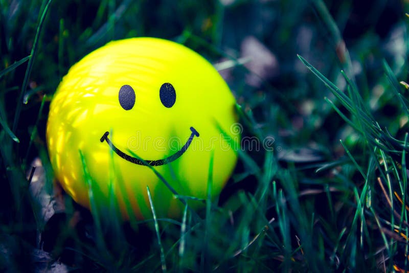 Smiley Standing in the Grass Editorial Image - Image of colorful, face ...