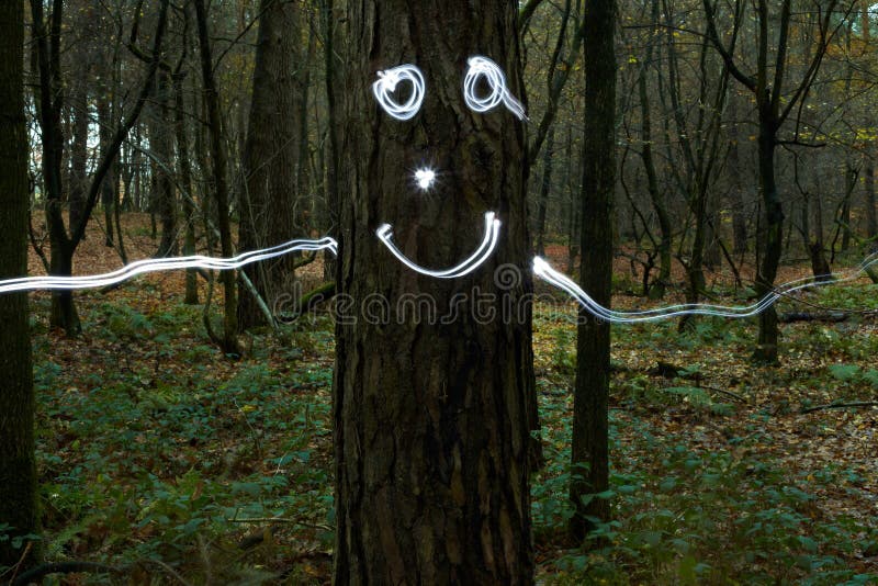 Smiley on tree in forest stock photo. Image of conservation - 19625504