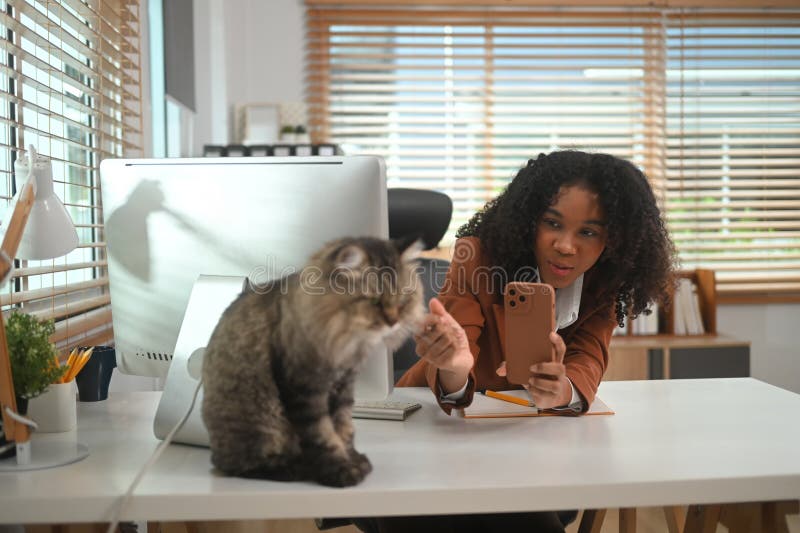 Smiling African American Freelancer Taking Picture of Her Lovely Cat at ... Smiling African American Freelancer Taking Picture of Her Lovely Cat at ...