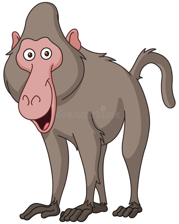 8+ Smiling baboon Free Stock Photos - StockFreeImages