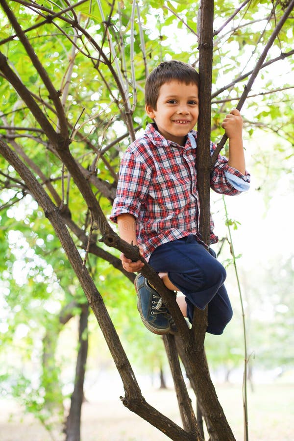 Boy climbing on tree stock photo. Image of exploration - 39112780