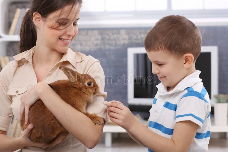 Smiling boy feeding rabbit stock image. Image of feeding - 24589837