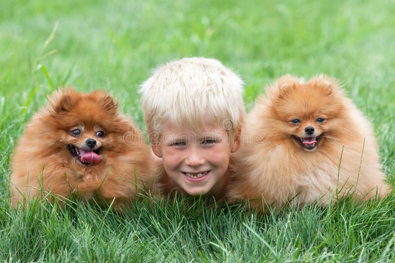 Smiling boy with two dogs stock photo. Image of american - 15380150