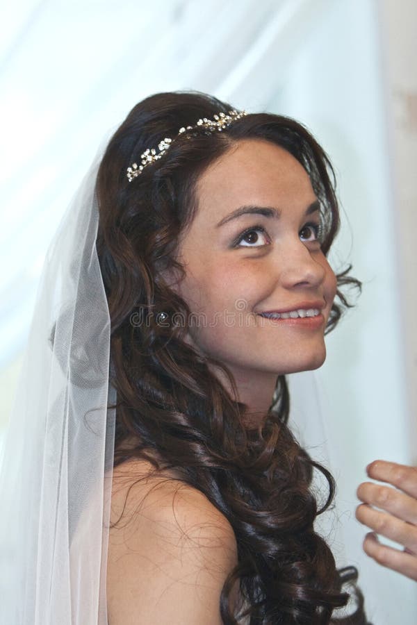 Smiling bride stock photo. Image of portrait, demure - 11271606