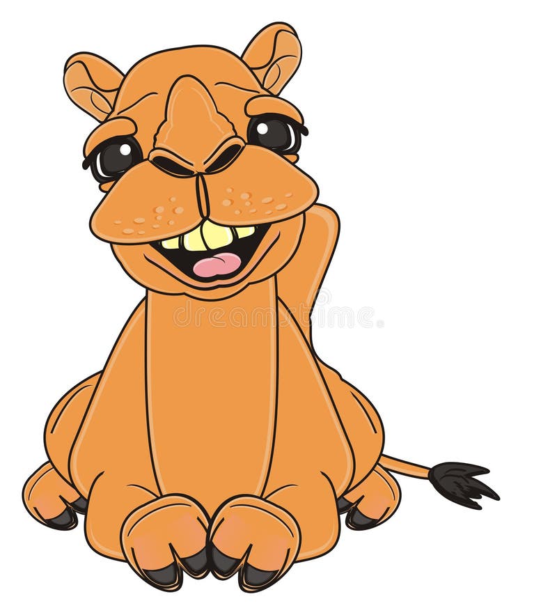 Smiling camel COLOR and BW stock illustration. Illustration of drawing ...