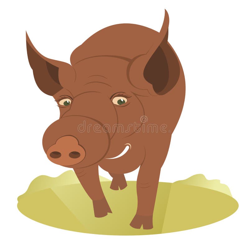 Grunt Pig Stock Illustrations – 199 Grunt Pig Stock Illustrations ...