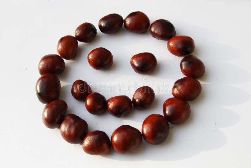 Smiling chestnuts stock image. Image of nature, season - 45012277
