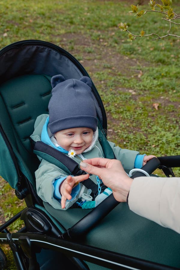 Smiling Child in Stroller Reaching for a Flower in Spring Park Stock ...