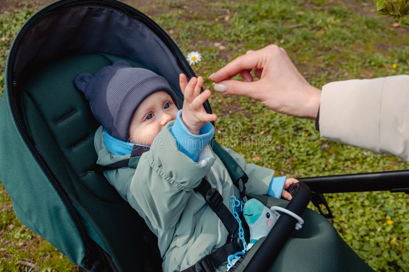 Smiling Child in Stroller in Spring Park Stock Image - Image of life ...