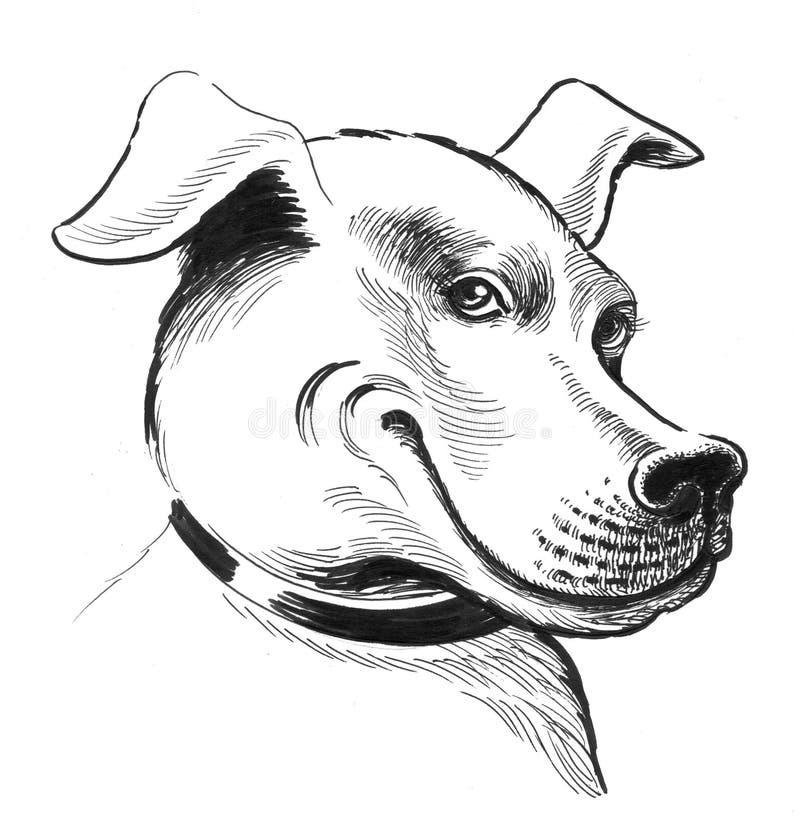 Smiling dog stock illustration. Illustration of cute - 99550108