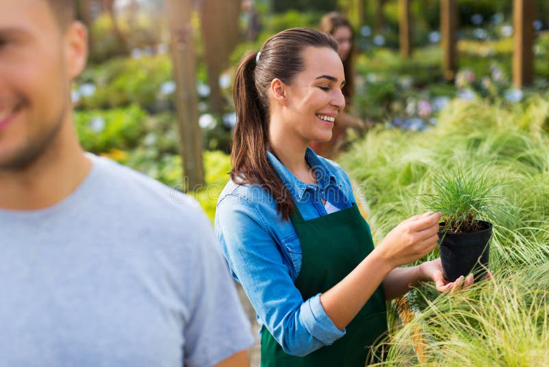 Woman Working in Garden Center Stock Photo - Image of enjoying, fall ...