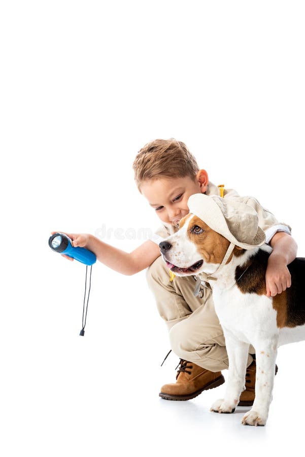 Dog Holding Flashlight Stock Photos - Free & Royalty-Free Stock Photos ...