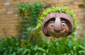 Smiling face coconut stock photo. Image of display, expression - 25849200