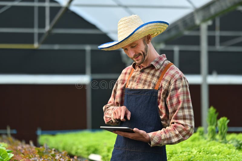 Smiling Farmer Analyzing Farming Data on Digital Tablet at Greenhouse ...