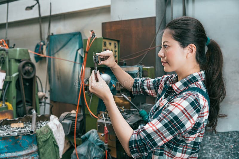 Scale staff stock photo. Image of gourmet, fish, engineer - 112898560