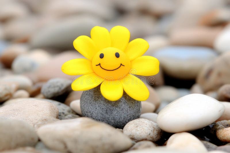 Smiling Flower on Pebbles: Nature-inspired Happiness and Tranquility ...