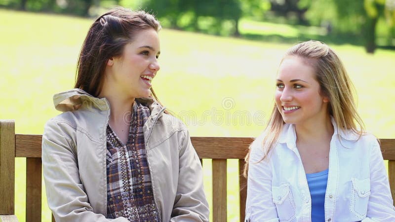 Smiling Friends Talking To Each Other Stock Video - Video of park ...