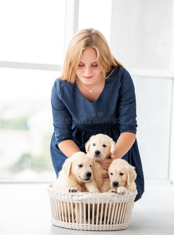 Smiling girl with puppies stock photo. Image of healthy - 216711280