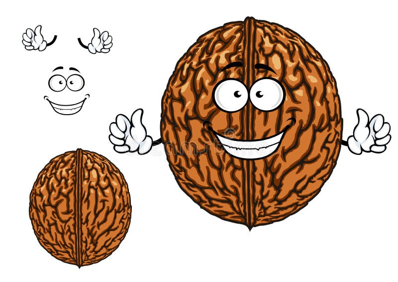 Smiling Happy Whole Walnut Character Stock Vector - Illustration of ...