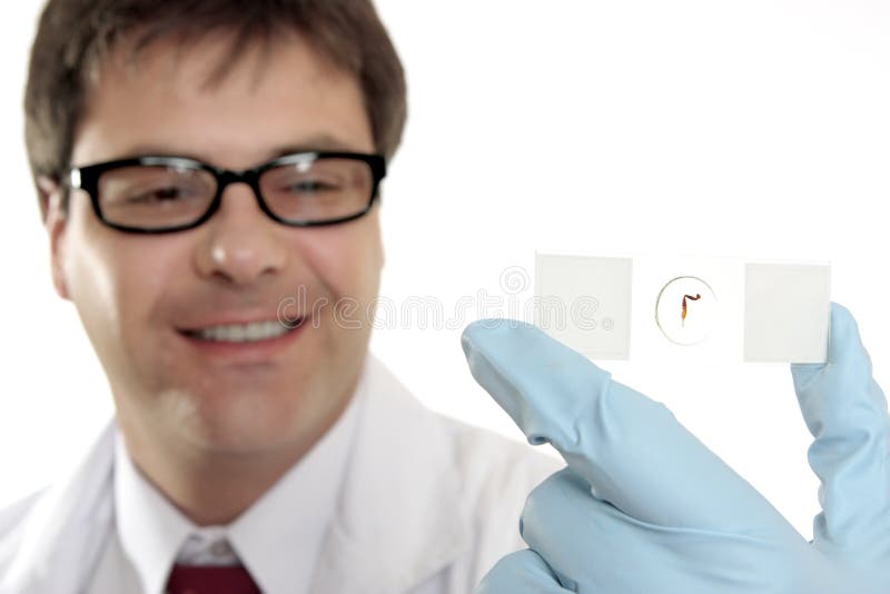 Smiling Lab Worker with Slide Stock Image - Image of specimen, adult ...