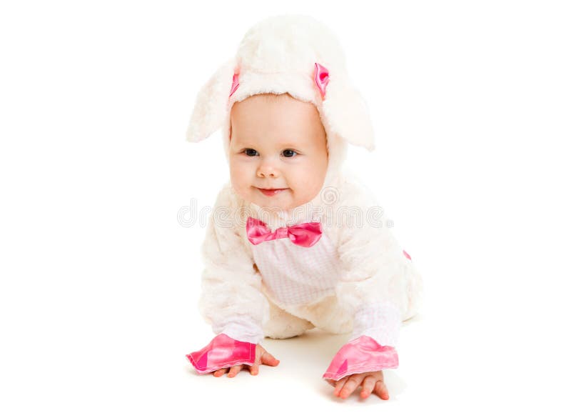 Smiling lamb stock image. Image of cute, attractive, enjoying - 13419975