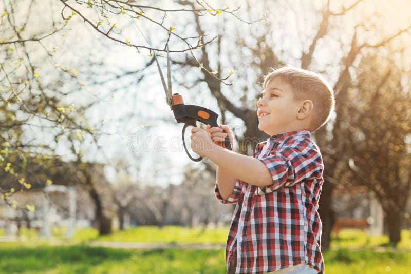 Smiling Little Boy Pruning the Tree Stock Image - Image of garden ...