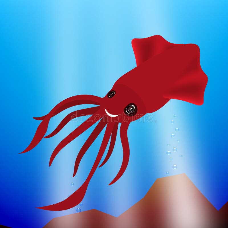 Smiling little squid stock illustration. Illustration of undersea ...