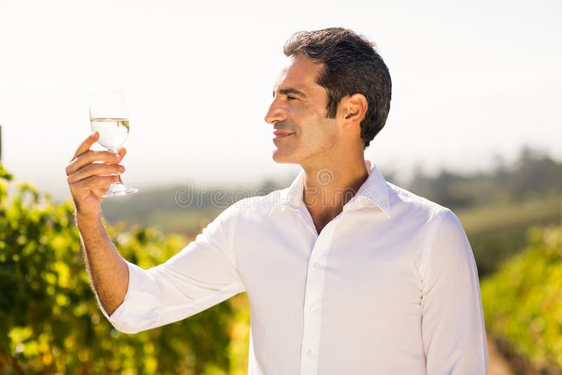 Smiling Male Vintner Looking at a Glass of Wine Stock Photo - Image of ...