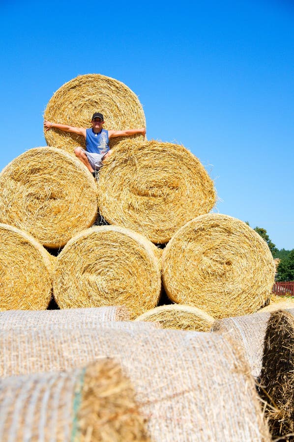 Man lifting hay bale stock image. Image of working, person - 9693735