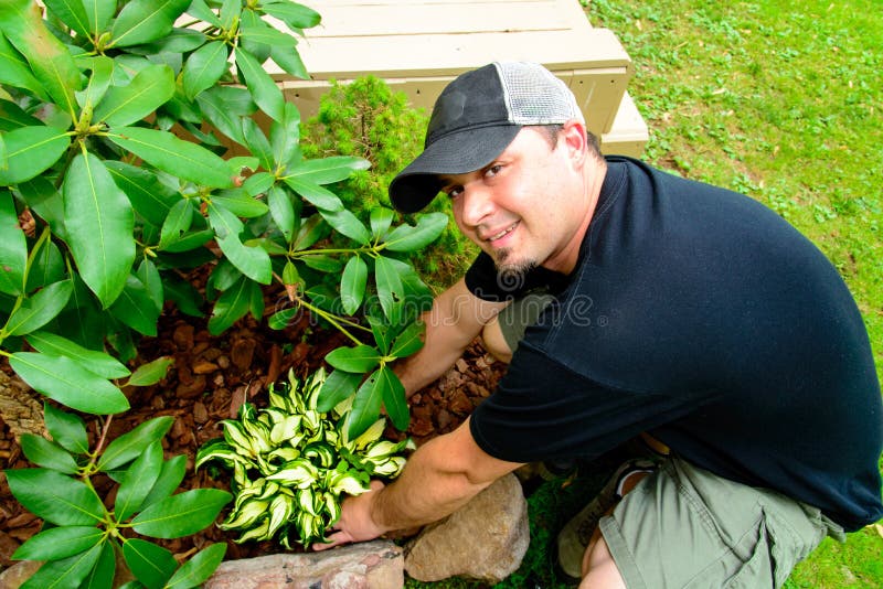 Smiling Man Planting and Landscaping Stock Photo - Image of mulching ...