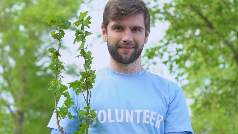 Smiling Man Volunteer Holding Tree Sapling Deforestation Problem ...