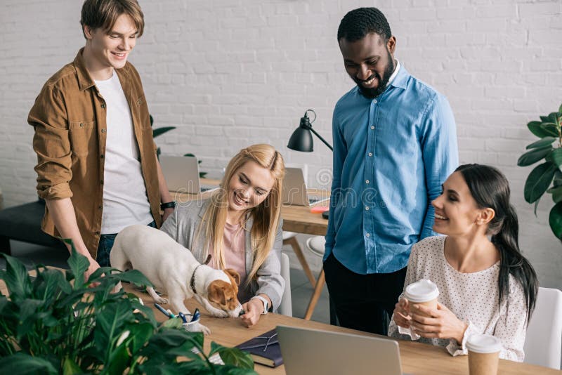 Smiling Multiethnic Business Colleagues Watching at Dog on Table Stock ...