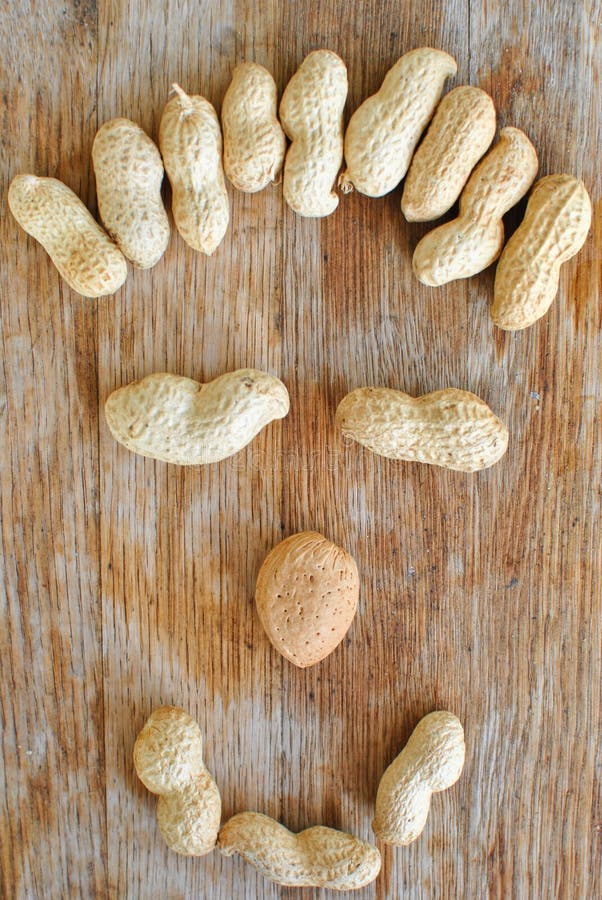 Smiling nuts on wood stock photo. Image of lifestyle - 114471504