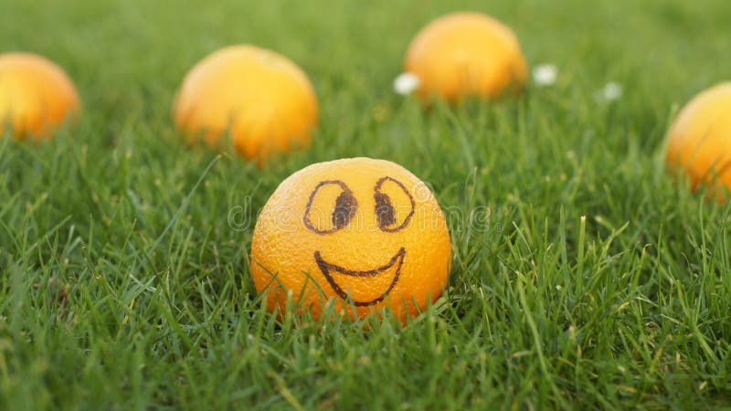 Smiling orange stock photo. Image of healthy, orange - 36633204