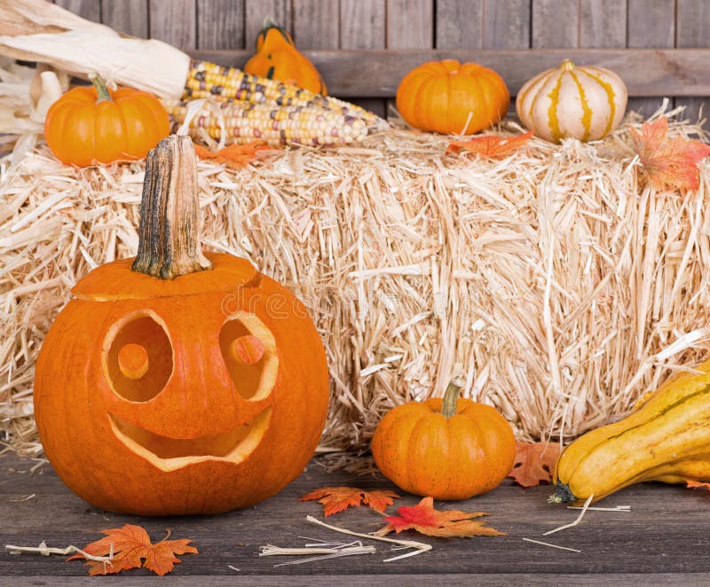 Smiling Pumpkin stock image. Image of copy, carved, gourd - 57150441