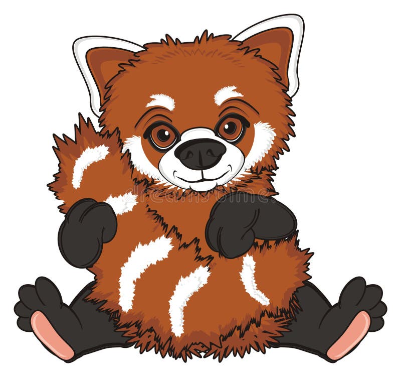 Smiling Red Panda stock photo. Image of stare, cute, nature - 916174