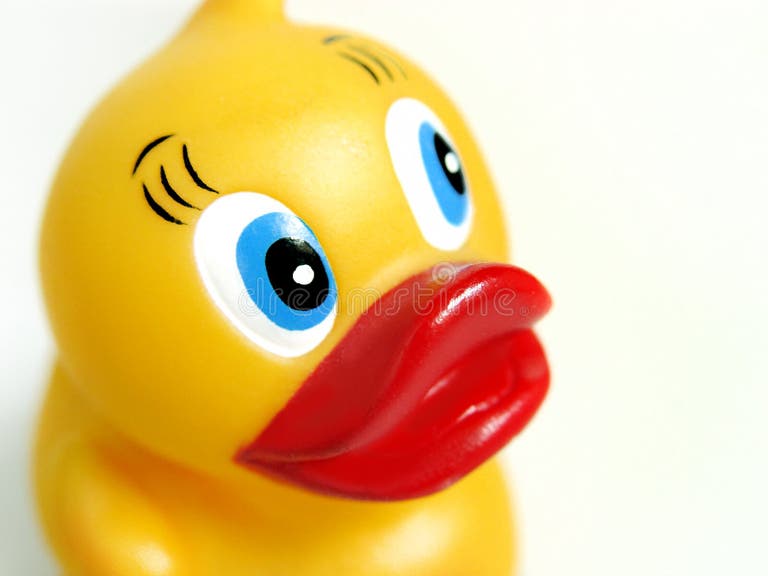 Smiling Rubber Duck stock image. Image of happy, cheerful - 21630571