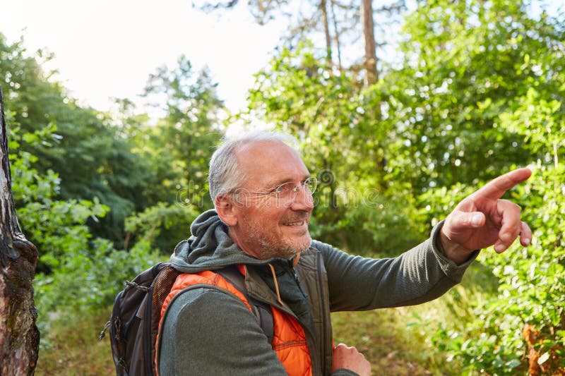 Smiling Senior Man Pointing while Exploring Forest in Vacation Stock ...