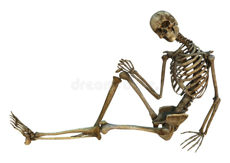 Smiling Skeleton stock illustration. Illustration of spine - 37347612