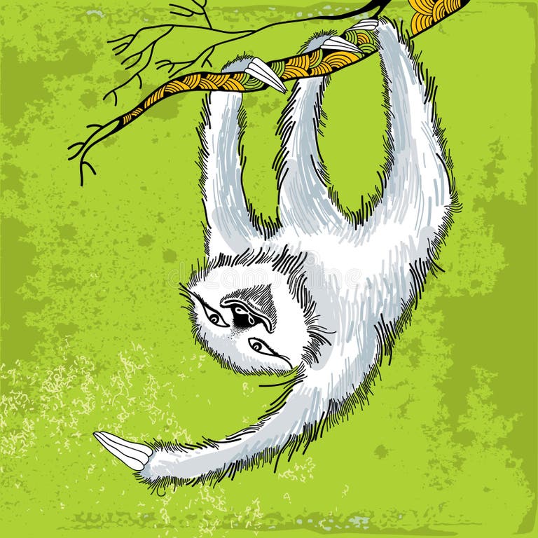 Sloth Outline Stock Illustrations – 1,482 Sloth Outline Stock ...