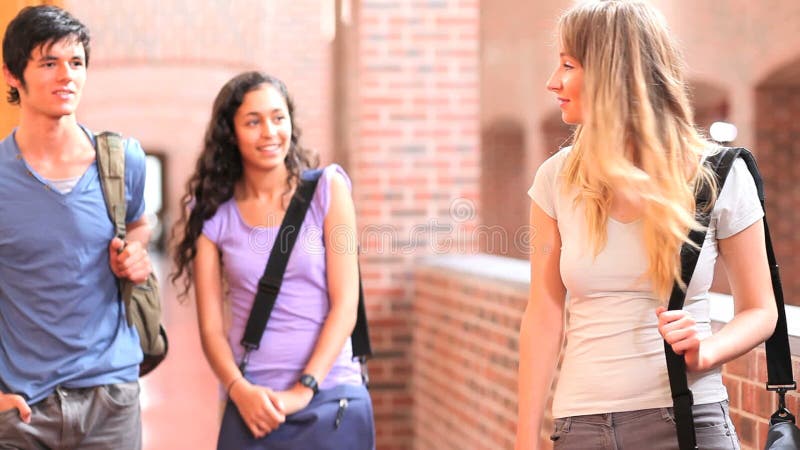 Smiling Student Saluting Her Classmates Stock Footage - Video of ...