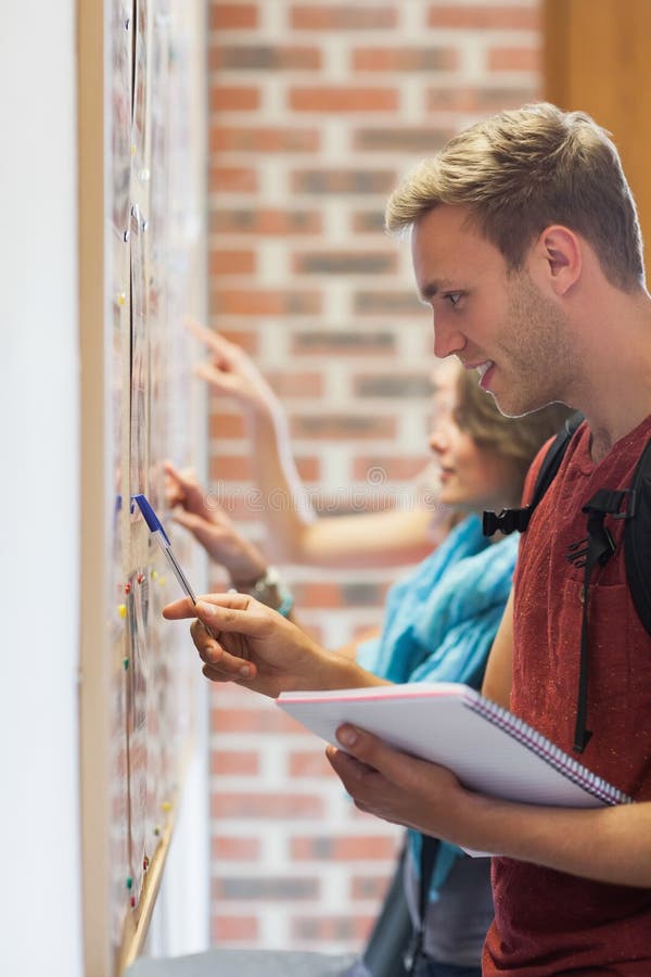 Smiling Students Searching Something on Notice Board Stock Photo ...