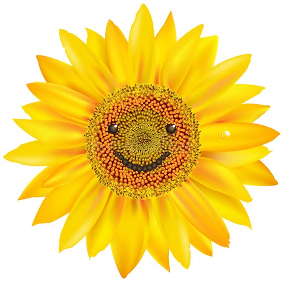 Smiling Sunflower Stock Illustrations – 2,537 Smiling Sunflower Stock ...