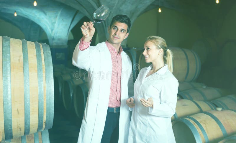Smiling Team of Winery Posing with Wine Stock Photo - Image of ...