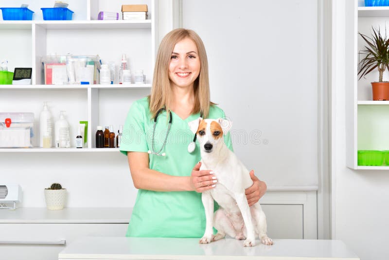 Smiling Veterinarian with Dog Stock Photo - Image of mammal ...