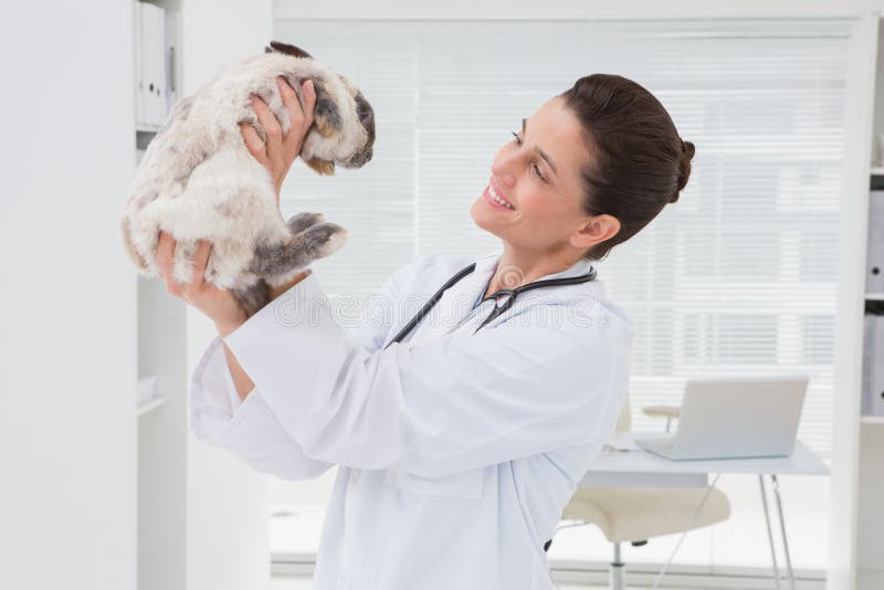 Smiling Veterinarian Holding a Rabbit Stock Image - Image of examining ...